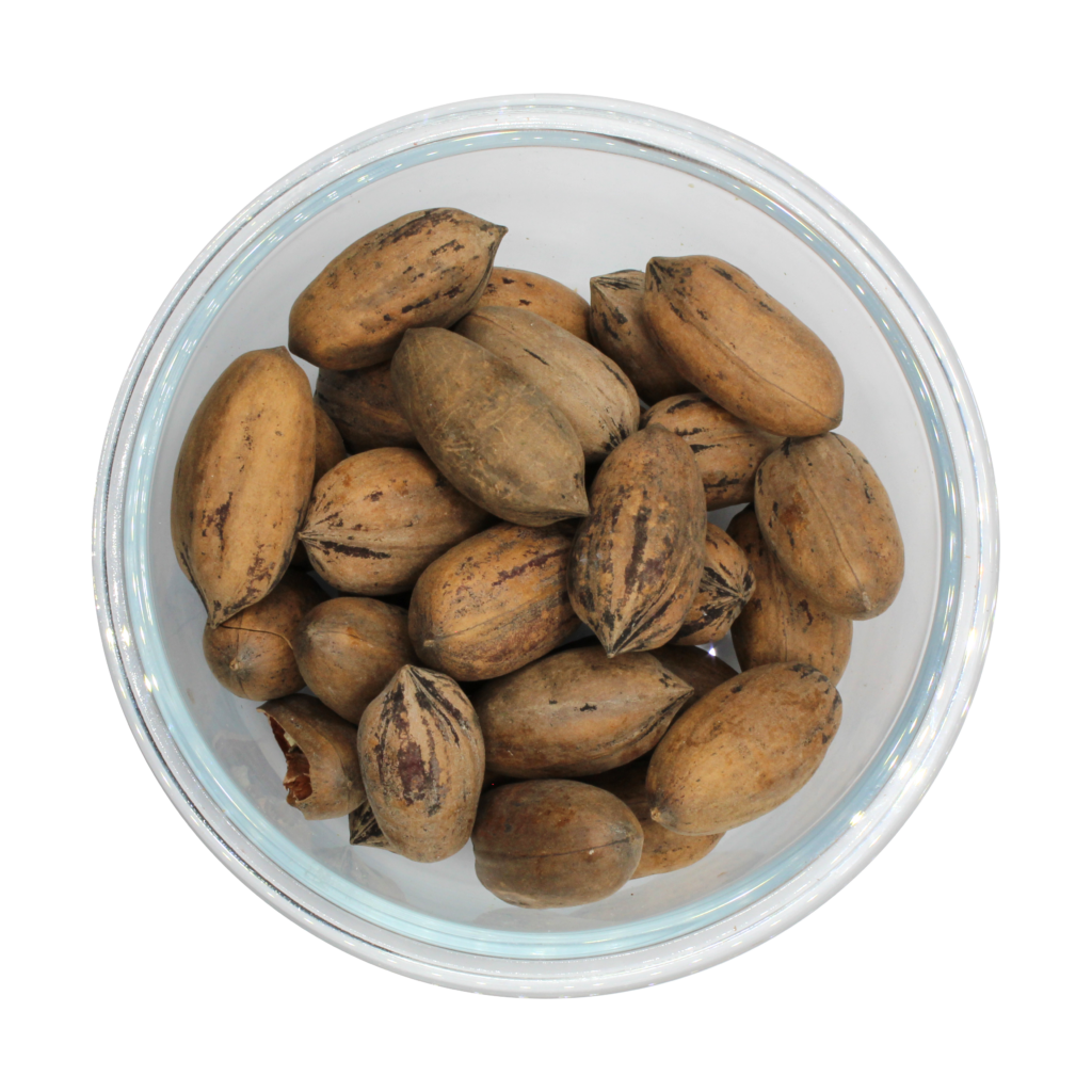 Nuez Con cáscara western - MI NUEZ